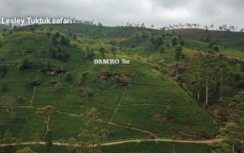 Nuwara Eliya: Sightseeing Tour and Drop With Local Guide - Final Thoughts