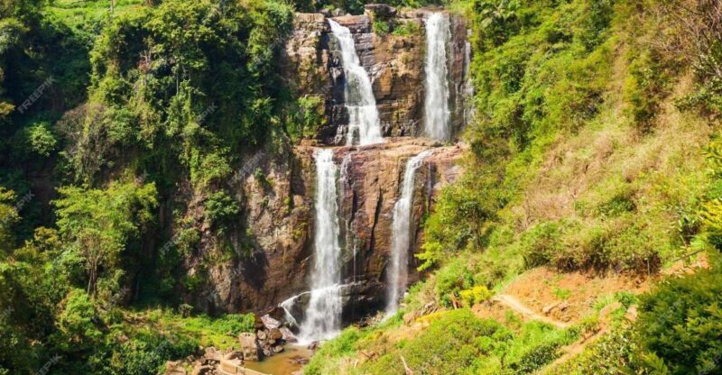 Nuwara Eliya: Sri Lanka hill country day trip from Kandy - Who This Tour Is Perfect For