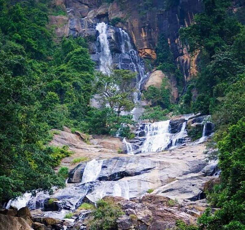 Nuwara Eliya: Tea Factory and Pickle Waterfalls Tuk Tuk Tour - Exploring Nuwara Eliya’s Tea and Waterfalls