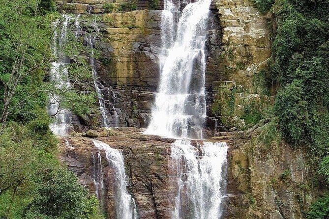 Nuwara Eliya Tea factory,plantation and Water Falls Tour - What Makes This Tour Stand Out