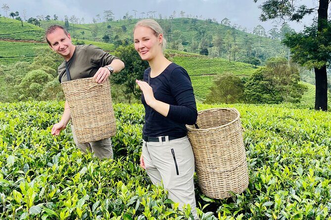 Nuwara Eliya Tea factory,plantation and Water Falls Tour - FAQ