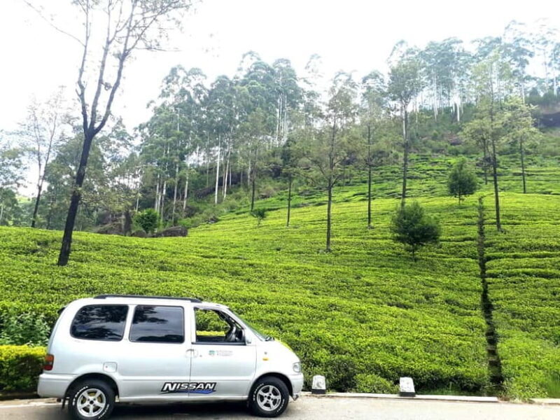 Nuwara Eliya Tea Visit & Ramboda Falls Tours with Taxis - FAQs