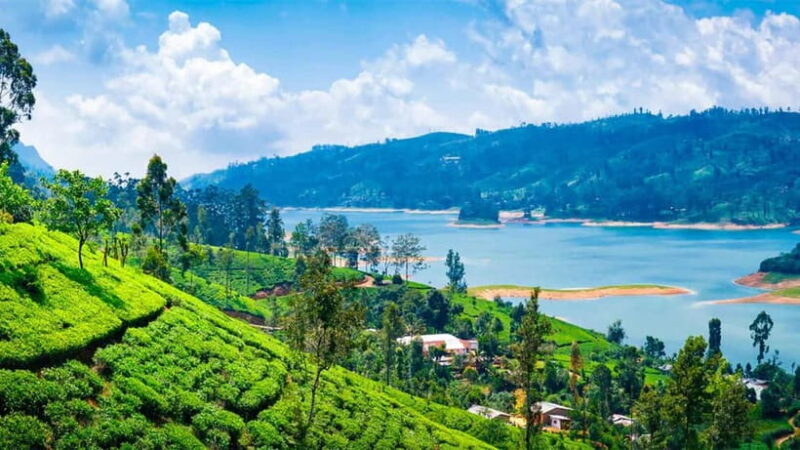 Nuwara Eliya to Kandy: Transfer with Waterfall & Tea Tour - An Introduction to the Experience