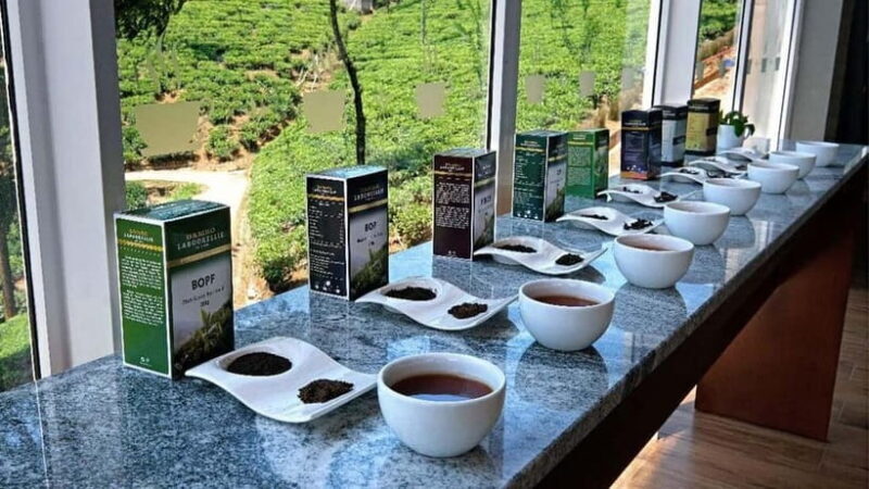 Nuwara Eliya to Kandy: Transfer with Waterfall & Tea Tour - Why Choose This Tour?