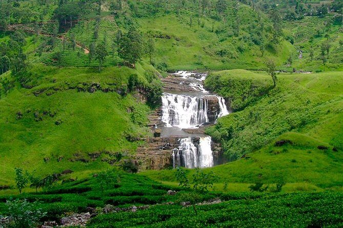 Nuwara Eliya Tour - Who Should Consider This Tour?