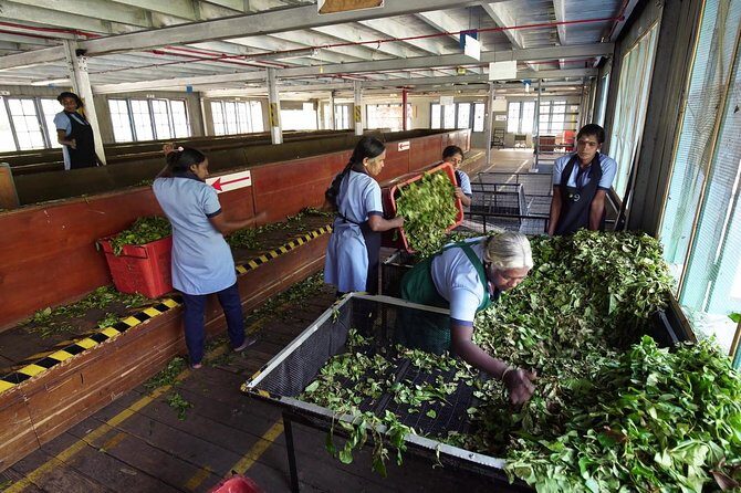 Nuwara Eliya Tour - FAQ about the Nuwara Eliya Tour