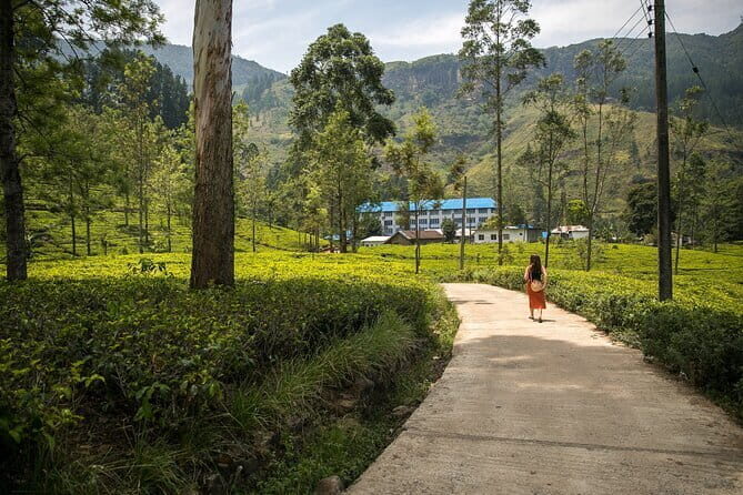 Nuwara Eliya Tours - Frequently Asked Questions