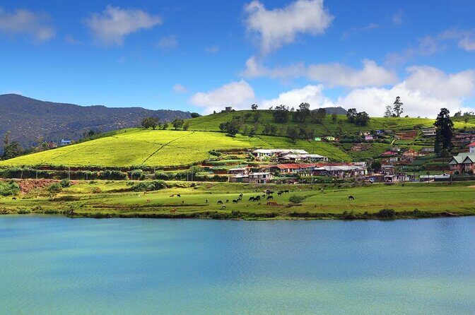 Nuwaraeliya Day Tour & Kithulgala Water Rafting from Kandy,Colombo or Ella - Introducing the Nuwaraeliya Day Tour & Kithulgala Water Rafting Experience