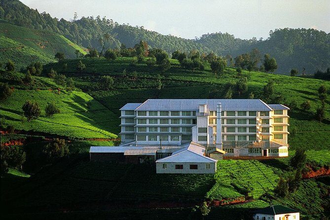 Nuwaraeliya Day Tour & Kithulgala Water Rafting from Kandy,Colombo or Ella - Who Should Consider This Tour?