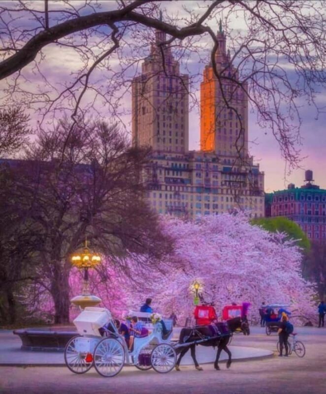 NYC: Amazing Central Park Horse and Carriage Ride with Guide - Key Points