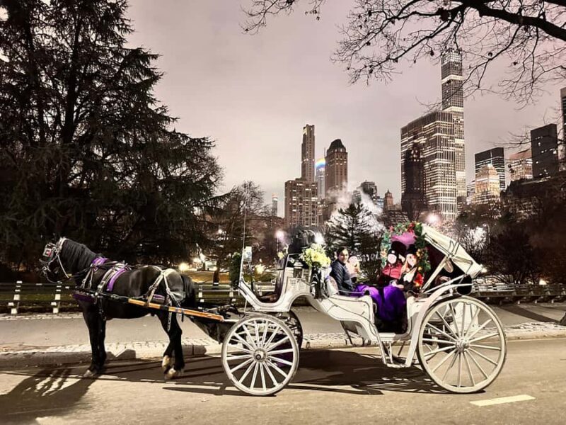 NYC: Amazing Central Park Horse and Carriage Ride with Guide - Authentic Reviews and Insights