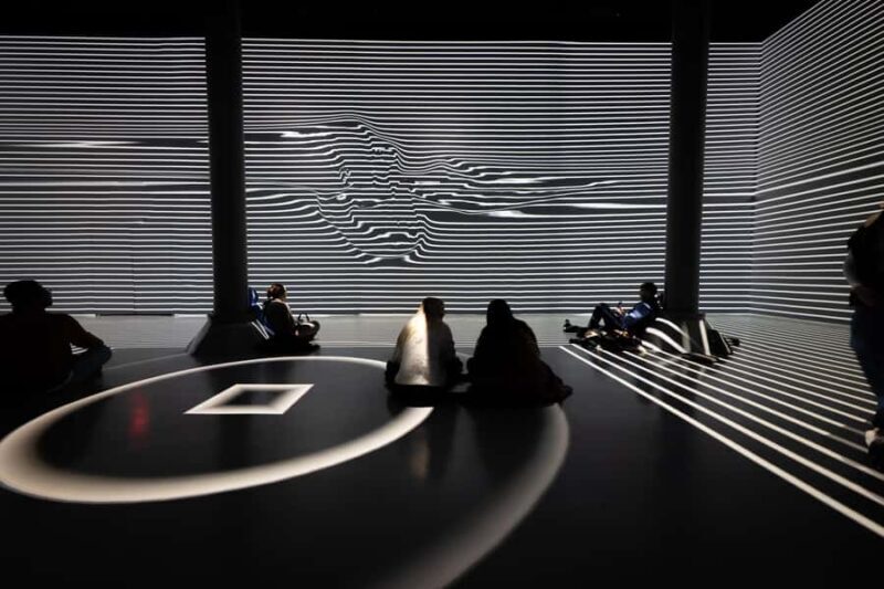 NYC: ARTECHOUSE Immersive Art Experience Entrance Ticket - Who Should Visit ARTECHOUSE?