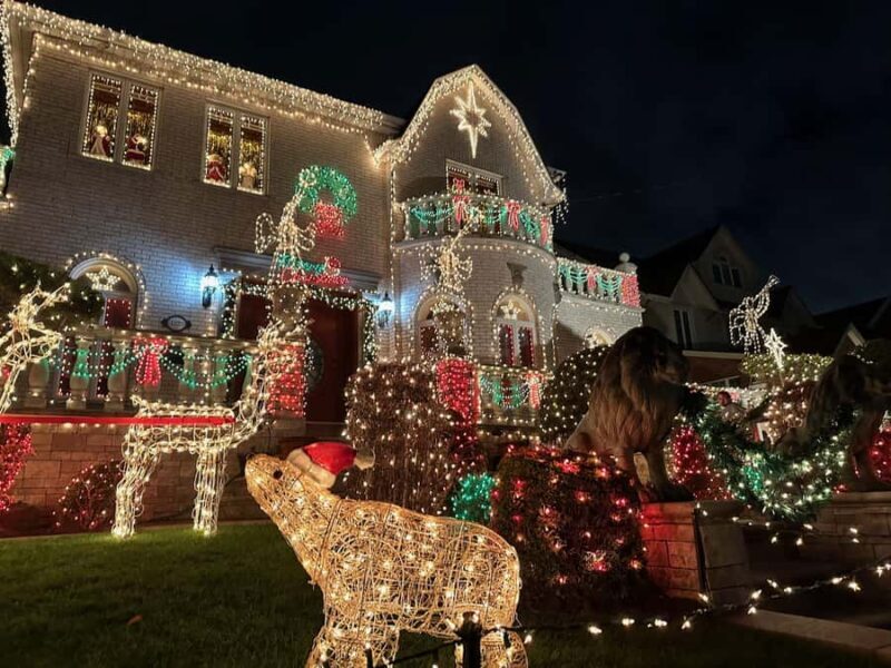 NYC at Night: 3.5 Hour Tour of Holiday Lights - A Detailed Look at the Tour