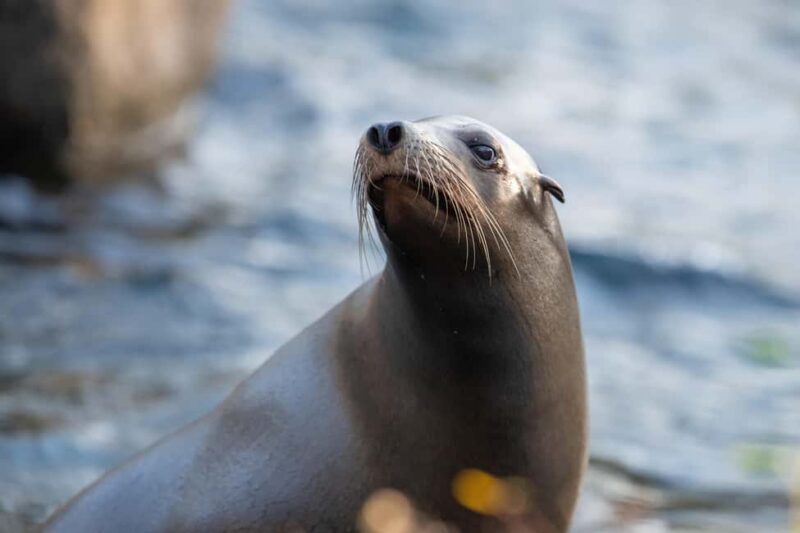 NYC: Bronx Zoo Entry Ticket - Introduction: What Makes the Bronx Zoo Stand Out?
