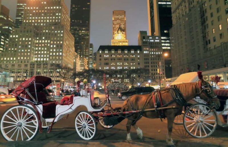 NYC : Central Park by Night: Horse-Drawn Carriage Ride - Discovering Central Park by Night: A Horse-Drawn Carriage Experience