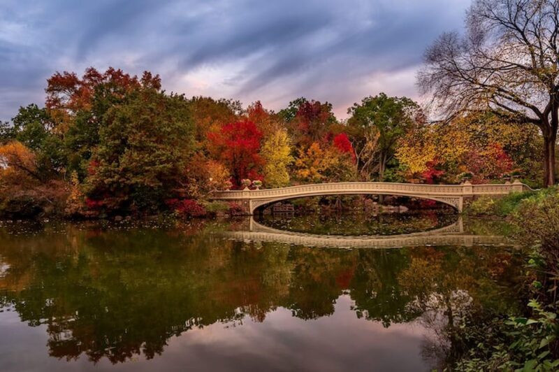 NYC: Central Park Christmas Lights Horse-Drawn Carriage Ride - Itinerary Breakdown