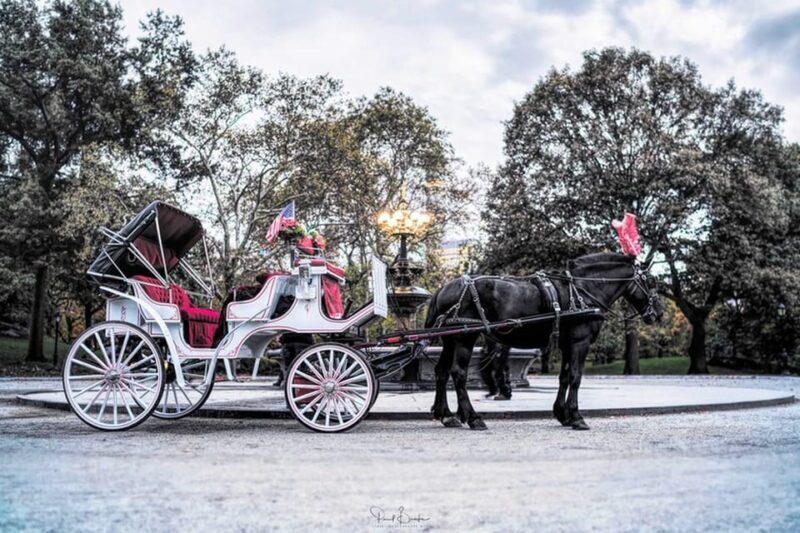 NYC: Central Park Christmas Lights Horse-Drawn Carriage Ride - The Experience from the Traveler’s Perspective