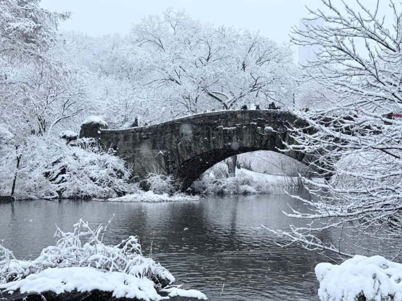 NYC: Central Park Guided Bike Tour with Movie Locations - Final Thoughts on Value and Experience