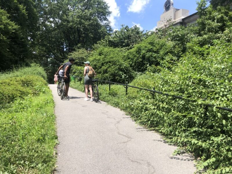 NYC: Central Park Guided Electric Bike Tour - The Value of This Central Park Tour