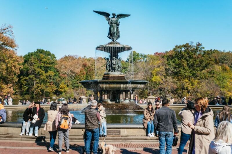 NYC: Central Park Guided Pedicab Tour - Key Points