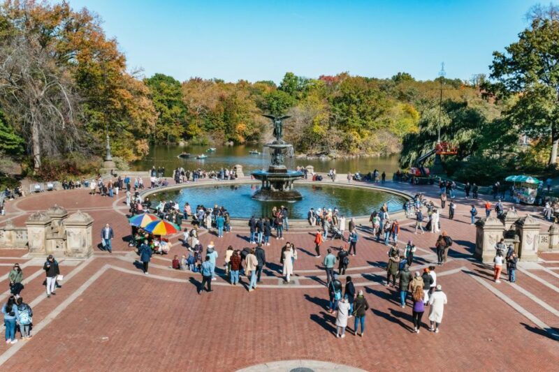 NYC: Central Park Guided Pedicab Tour - Value and Practical Considerations