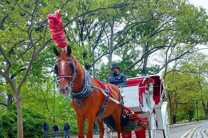 NYC Central Park Horse and Carriage Ride: Long Ride 45 min - Itinerary Breakdown: What You’ll See