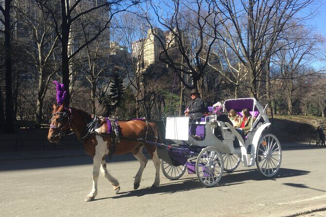 NYC Central Park Horse and Carriage Ride: Long Ride 45 min - Practical Details