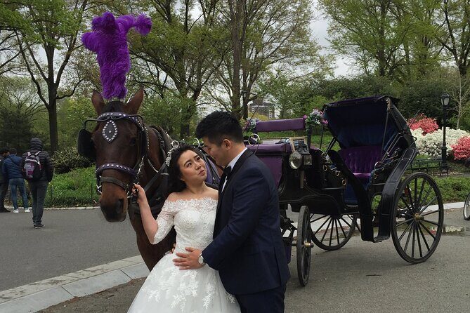 NYC Central Park Horse and Carriage Ride: Long Ride 45 min - Insights from Other Experiences