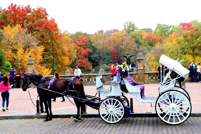 NYC Central Park Horse Carriage Ride (Up to 4 Adults) - An In-Depth Look at the Experience