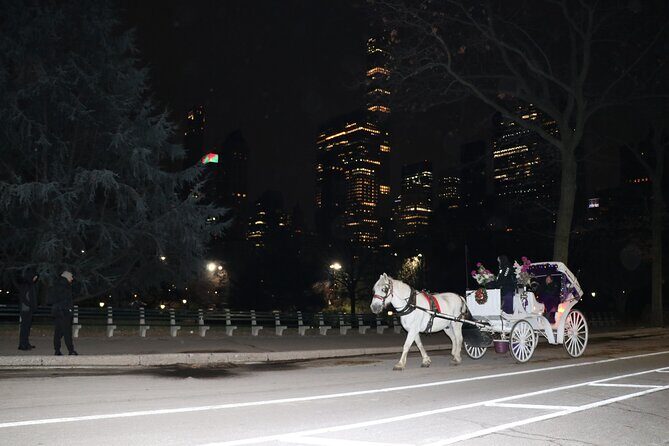 NYC Central Park Horse Carriage Ride (Up to 4 Adults) - FAQ