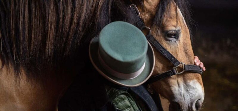 NYC: Central Park Horse-Drawn Carriage Ride - An In-Depth Look at the Central Park Carriage Ride