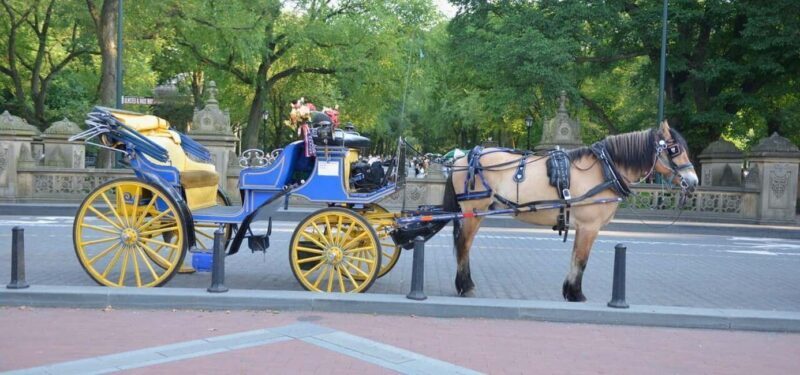 NYC: Central Park Horse-Drawn Carriage Ride - Practical Tips for Your Carriage Ride