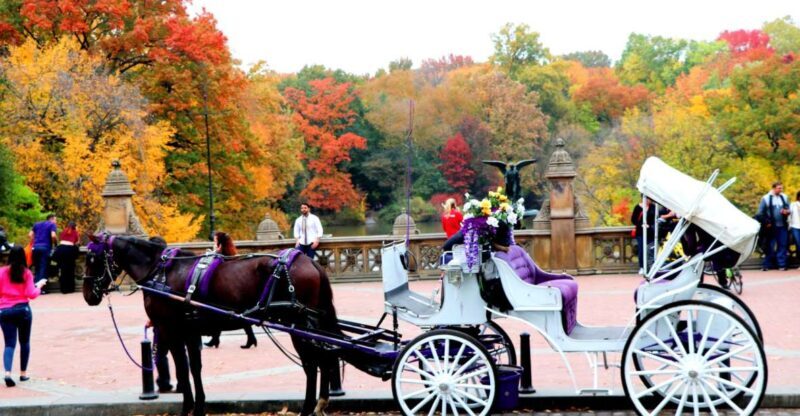 NYC: Central Park Horse-Drawn Carriage Ride (up to 4 Adults) - Value and Pricing: Is It Worth It?