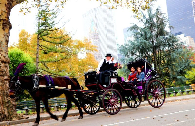 NYC: Central Park Horse-Drawn Carriage Ride (up to 4 Adults) - Practical Tips for Booking and Enjoying