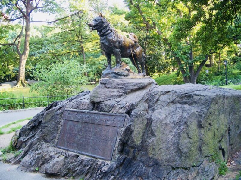 NYC: Central Park Pedicab Highlights Tour - Authentic Experiences from the Reviews