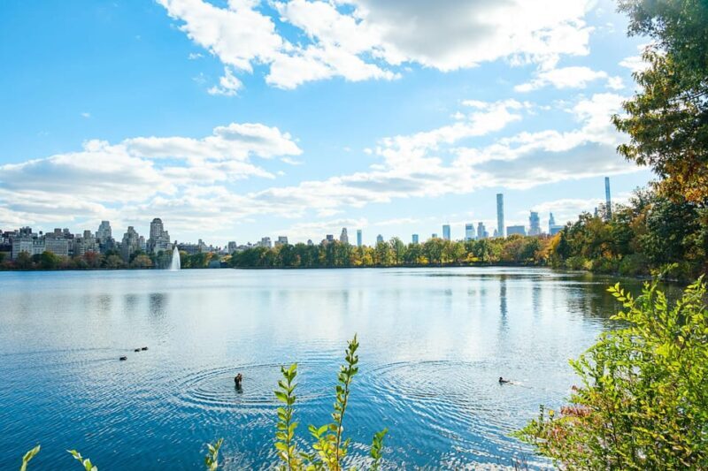 NYC: Central Park Pedicab Tour with Photo Stops - FAQ