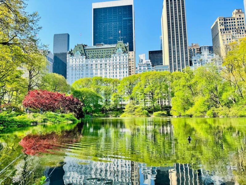 NYC: Central Park Pedicab Tour with Photo Stops - The Experience: What to Expect