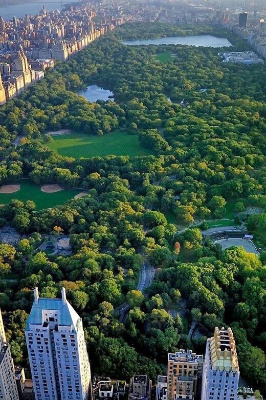 NYC Central Park Pedicab Tours - Key Points