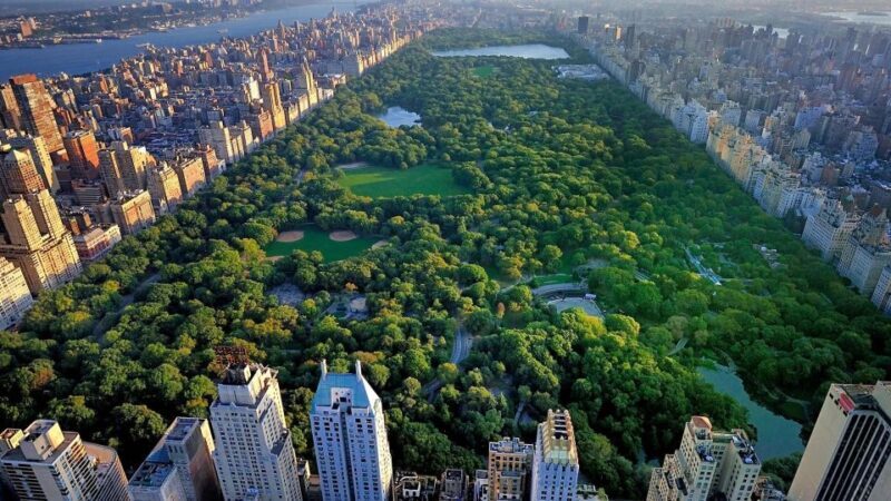 NYC Central Park Pedicab Tours - A Deep Dive into the Experience