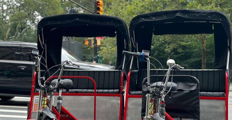 NYC Central Park Pedicab Tours - Detailed Breakdown of the Itinerary