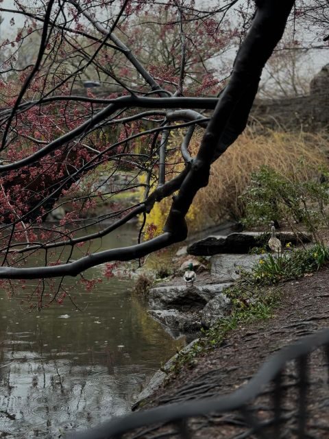 NYC Central Park Pedicab Tours - Frequently Asked Questions