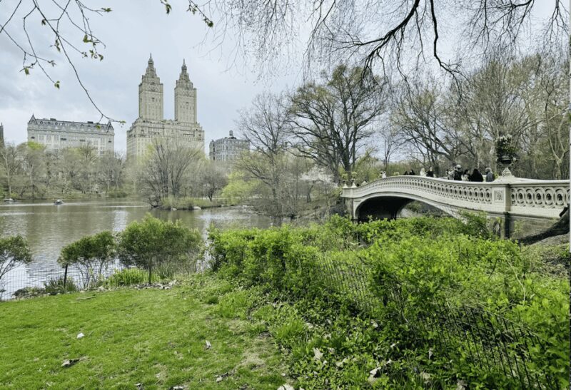 NYC: Central Park Rickshaw Tour / Private and Guided - Comfort and Convenience