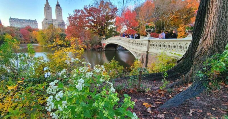 NYC: Central Park Secrets and Highlights Walking Tour - Why This Tour Has Charm for All