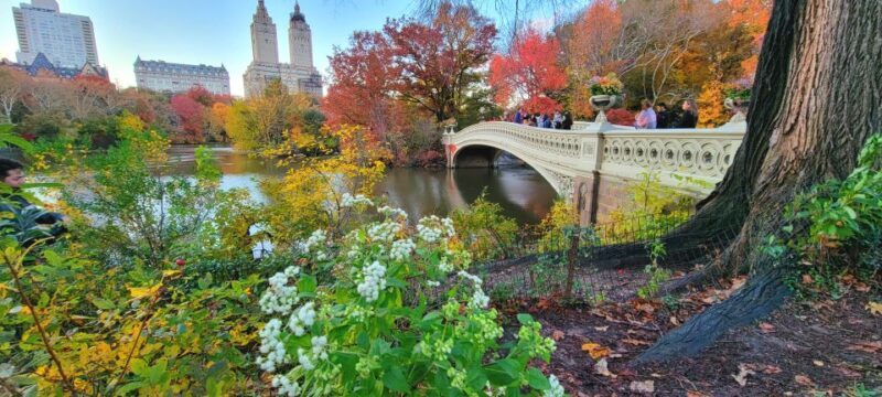 NYC: Central Park Secrets and Highlights Walking Tour - Architecture and Art