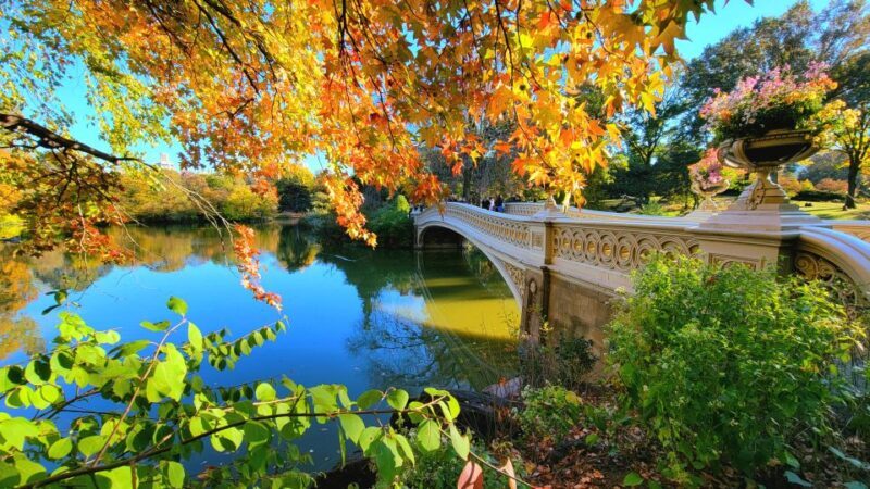 NYC: Central Park Secrets and Highlights Walking Tour - Performance and Atmosphere