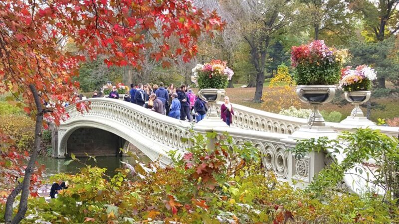 NYC: Central Park Secrets and Highlights Walking Tour - Value for Money
