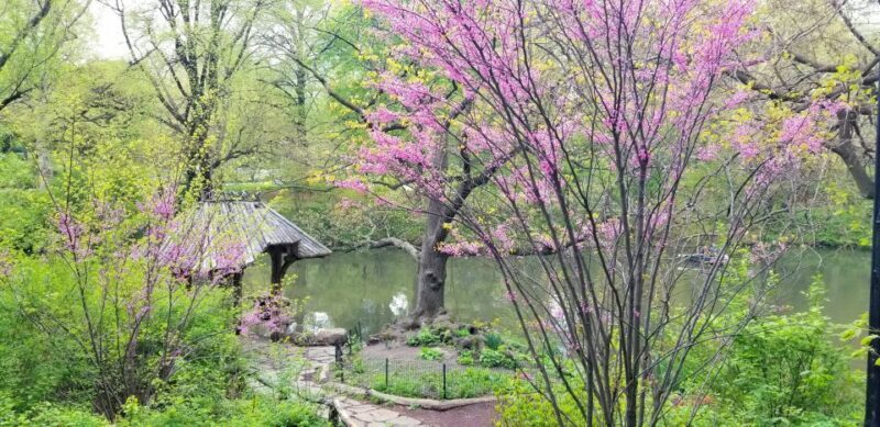 NYC: Central Park Secrets and Highlights Walking Tour - What’s Not Included?