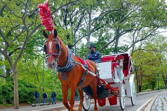 NYC Central Park VIP Horse and Carriage Ride - An In-Depth Look at the Central Park Carriage Ride