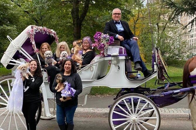 NYC Central Park VIP Horse and Carriage Ride - FAQ