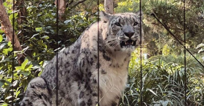 NYC: Central Park Zoo & Central Park Guided Walking Tour - Practical Details and What It Means for You